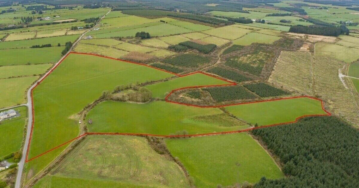 Strong interest already in 34-acre Cork farm