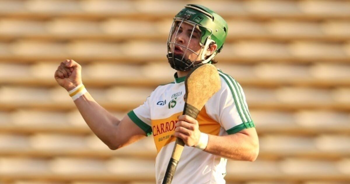Offaly hurlers hold on to Division 1B league status