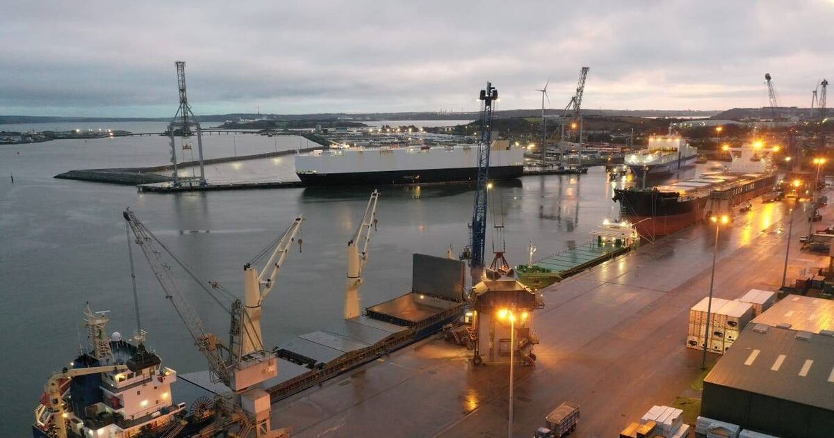 Long-awaited Cork-Ringaskiddy motorway moves a step closer