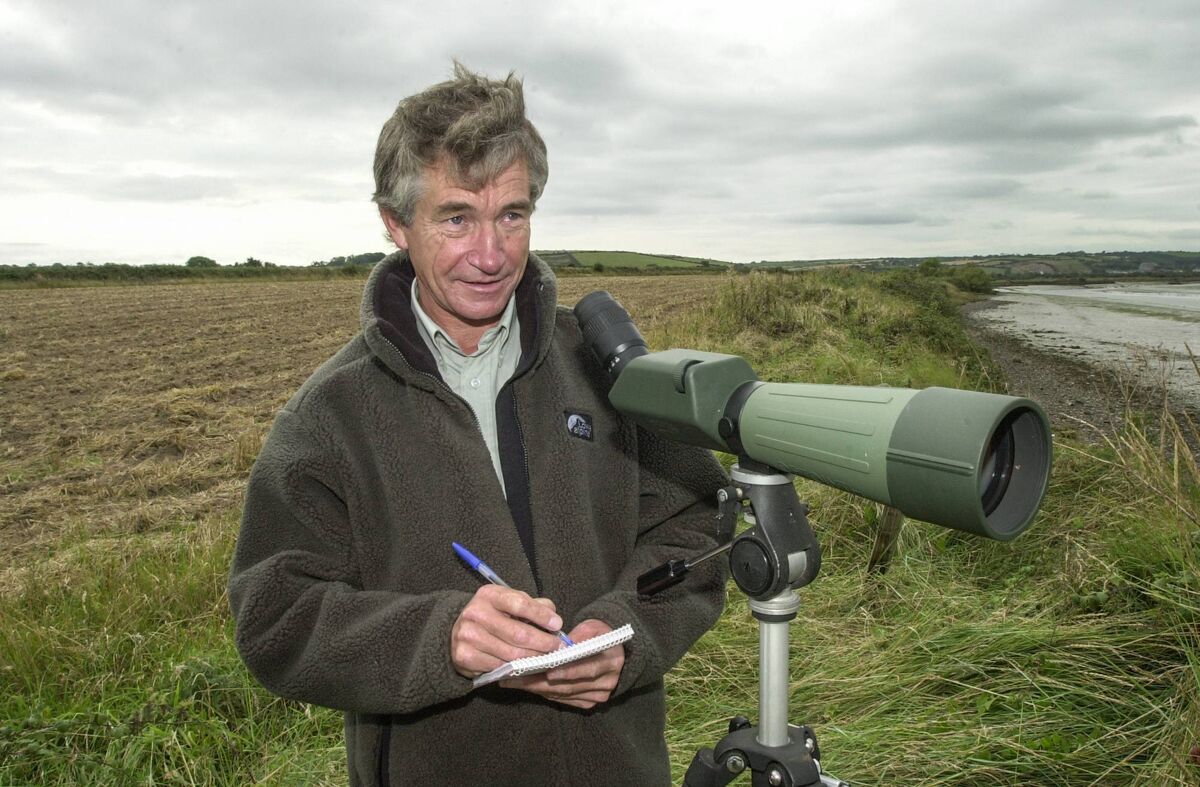 Patrick Smiddy: Birds are pollinators, their forgotten acorns often ...