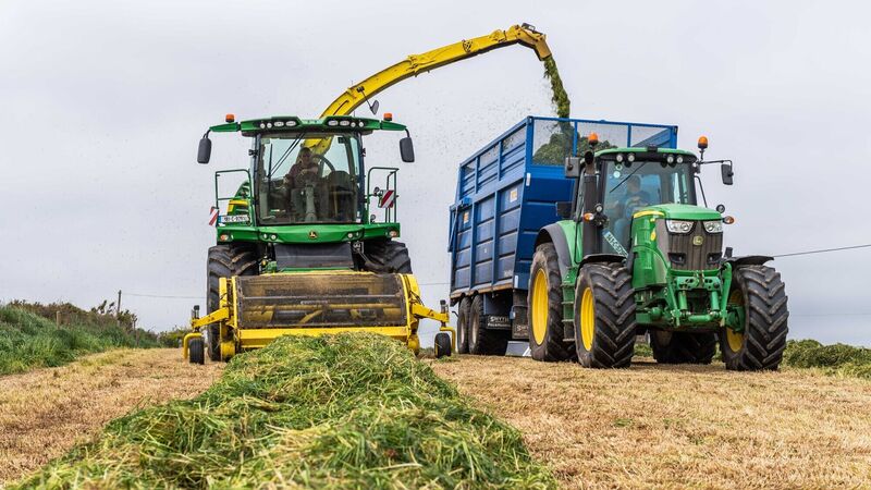 Brian Reidy: Managing grass in May requires a little bravery