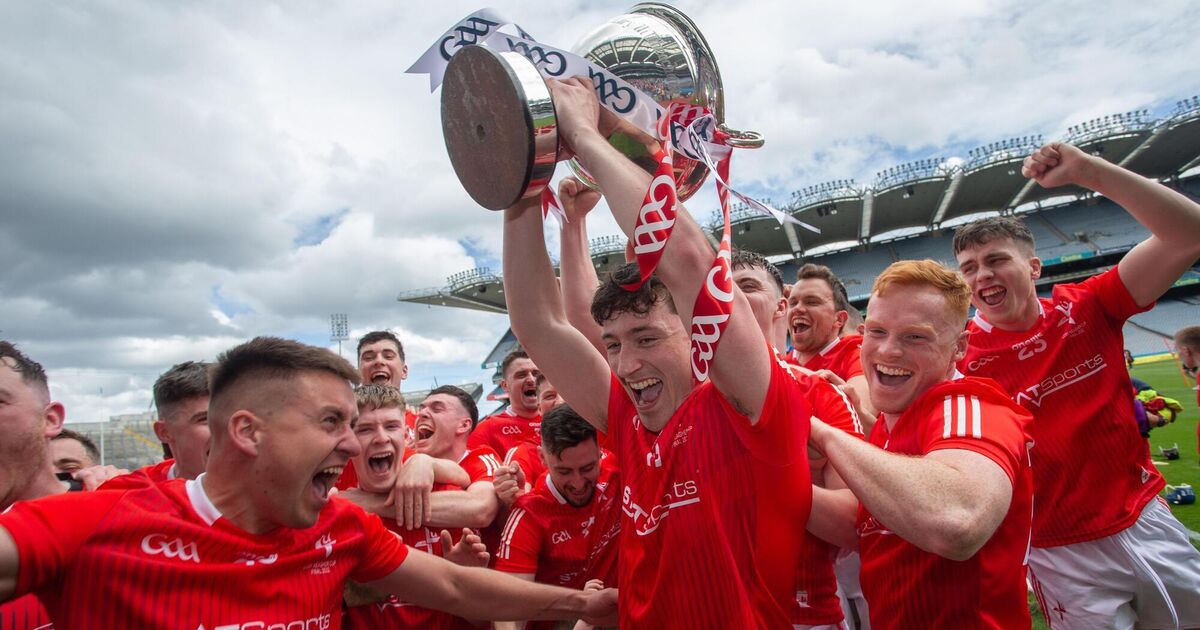 Louth capture third Lory Meagher title