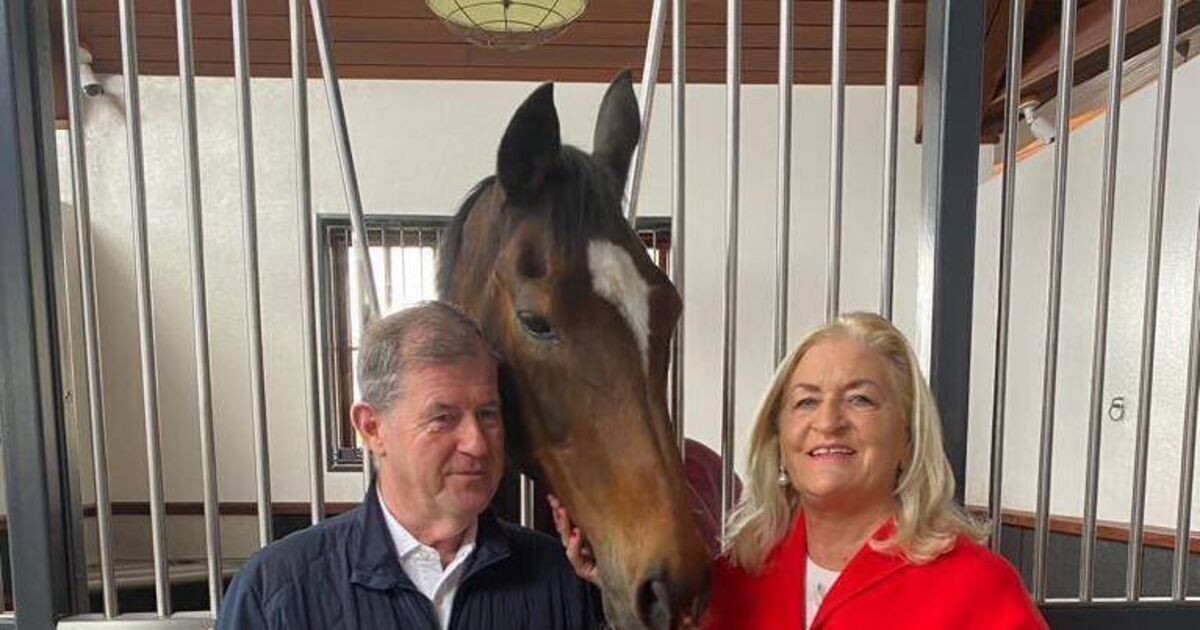 Istabraq soaks up the attention at 30th birthday celebrations