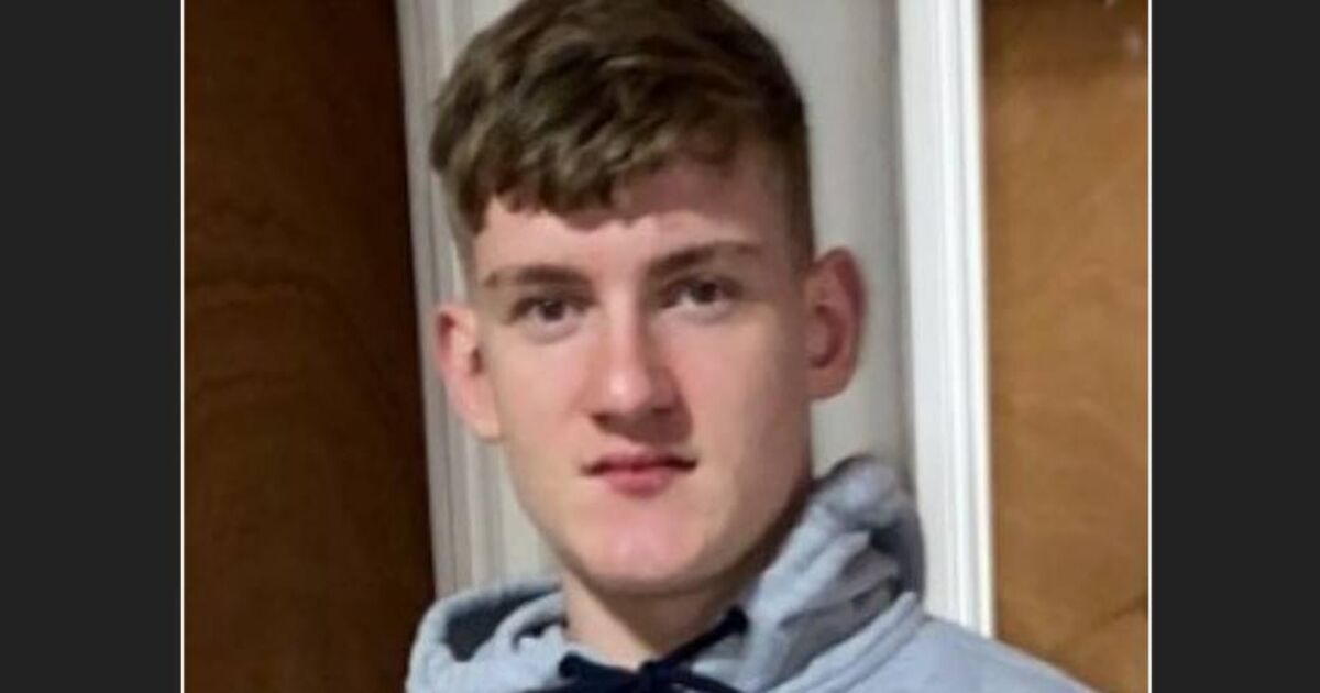 Update: Missing Dublin teen found safe and well