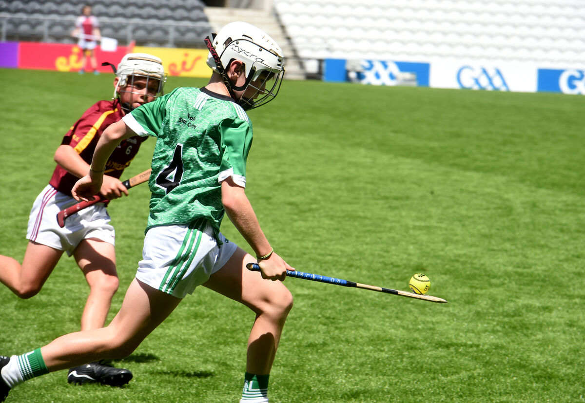 Double Sciath na Scoil delight in Cork for Ballynoe and Belgooly