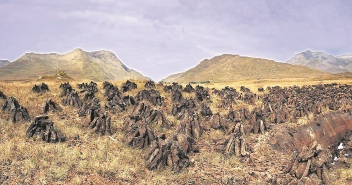 Bog restoration programme receives €2m in funding