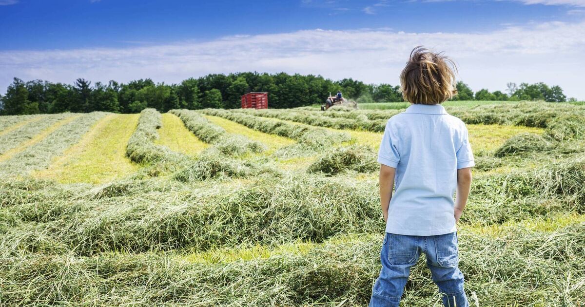 On busy farms, if you’re not working, then you’ve no business being there