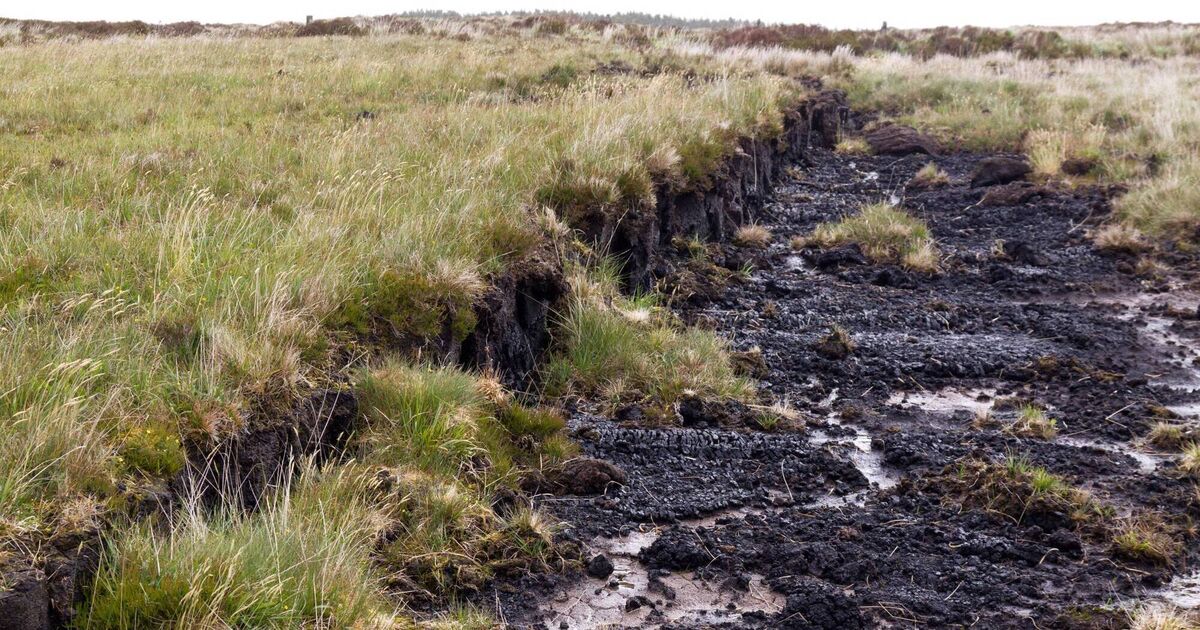 Overall trend of deterioration means current status of bogs in Ireland ...