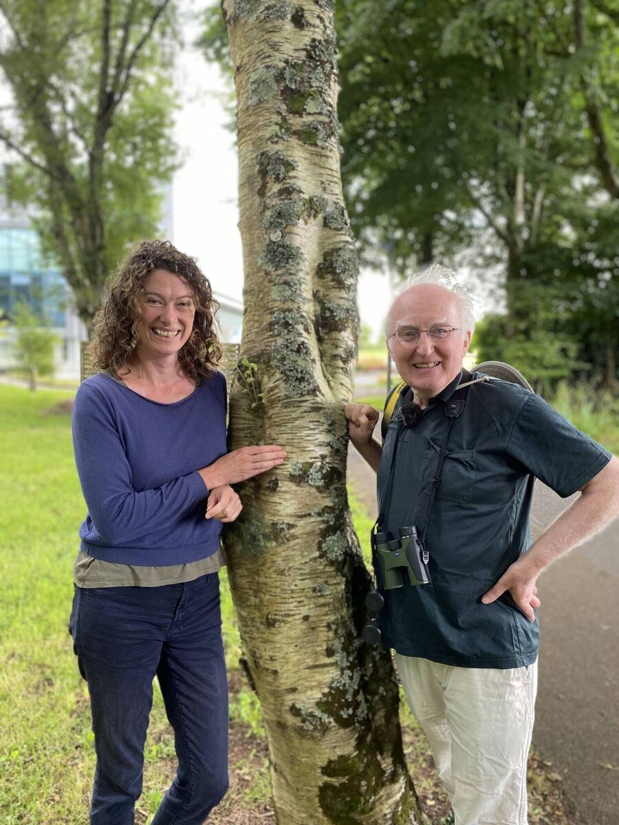 Anja Murray: What is a 'native' tree and why is it so valuable?