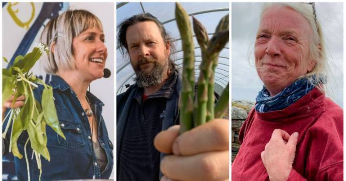 Progress and produce: 50 Irish food producers that have embraced ...