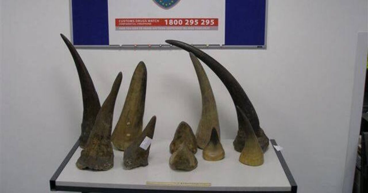 'Rathkeale Rovers' gang a 'threat to global environmental security'