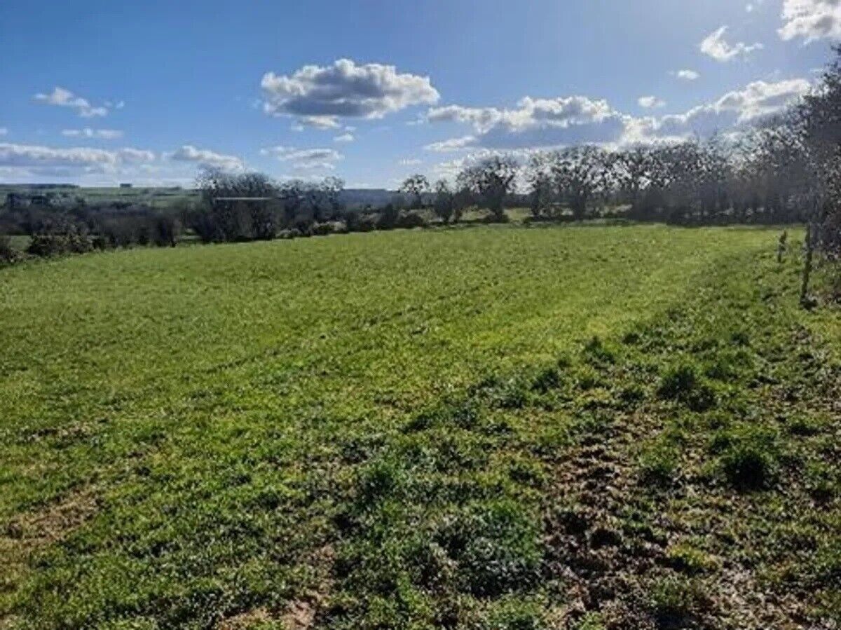 22-acre farm in Coachford already attracting offers