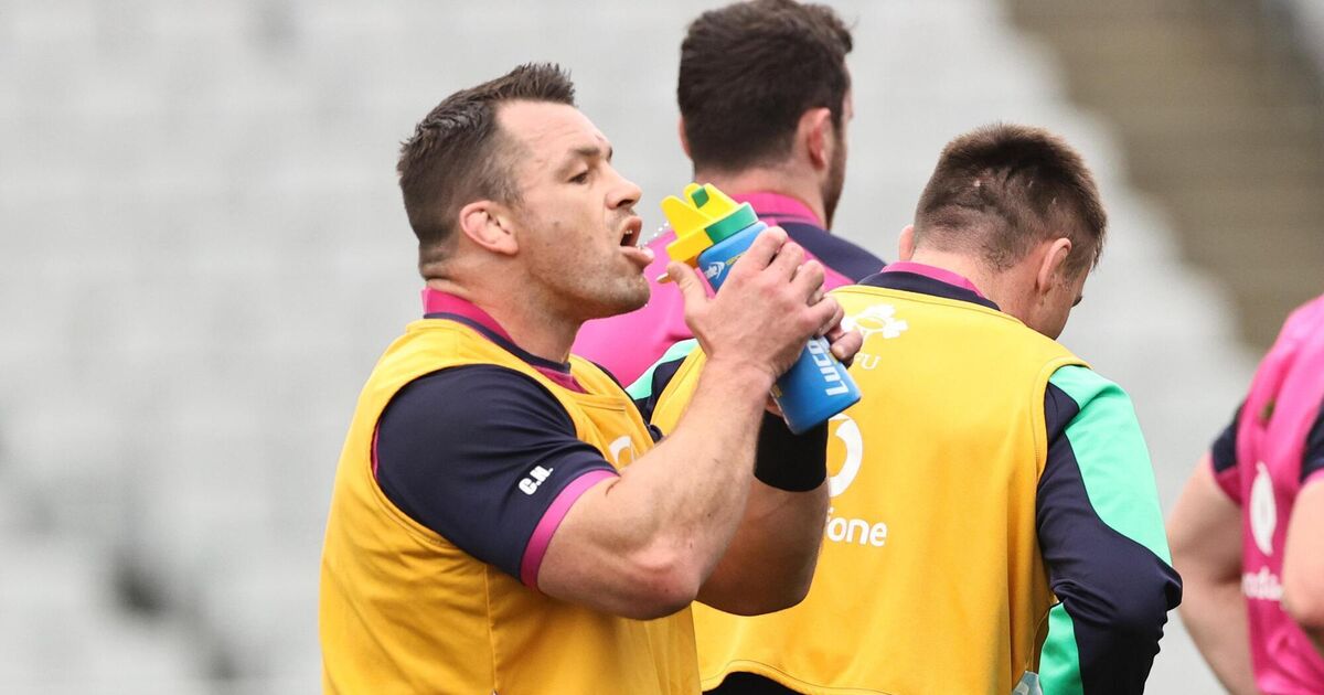 Cian Healy passed fit for bench role in opening test