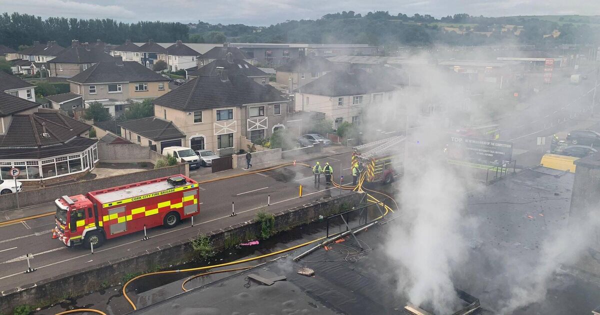 Overnight blaze at former Vita Cortex factory latest in spate of Cork fires