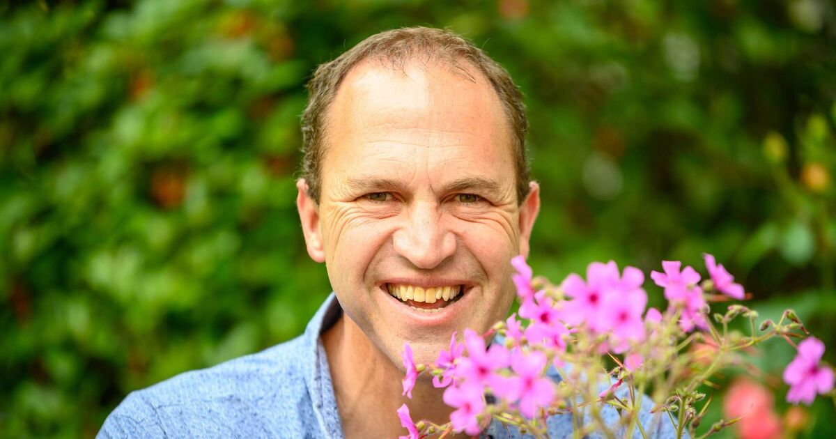 Peter Dowdall: Why our hedgerows are Ireland's rainforests