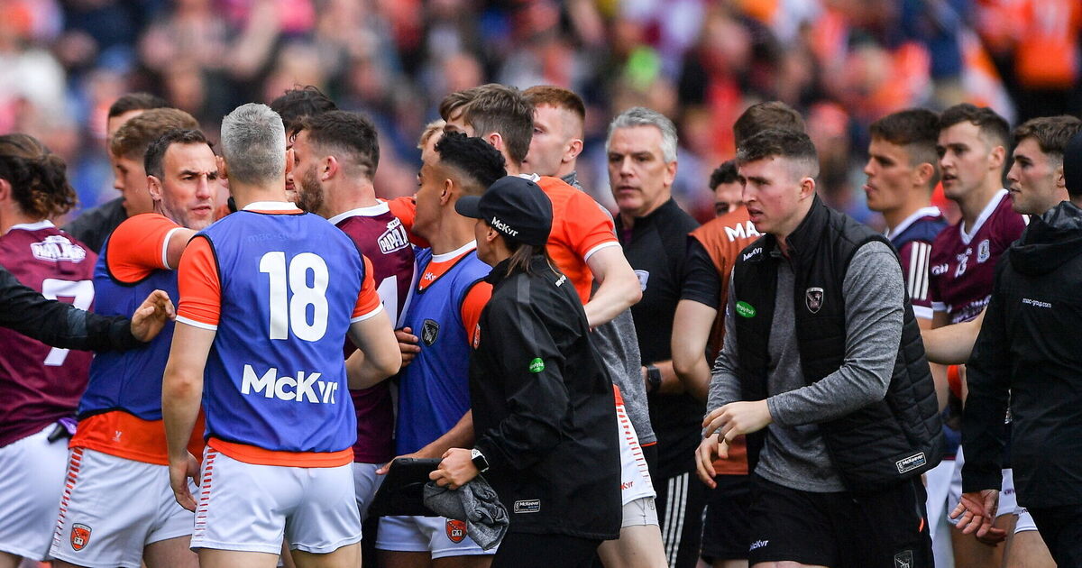 Ian Mallon: Irish television audiences are suckers for a punch-up