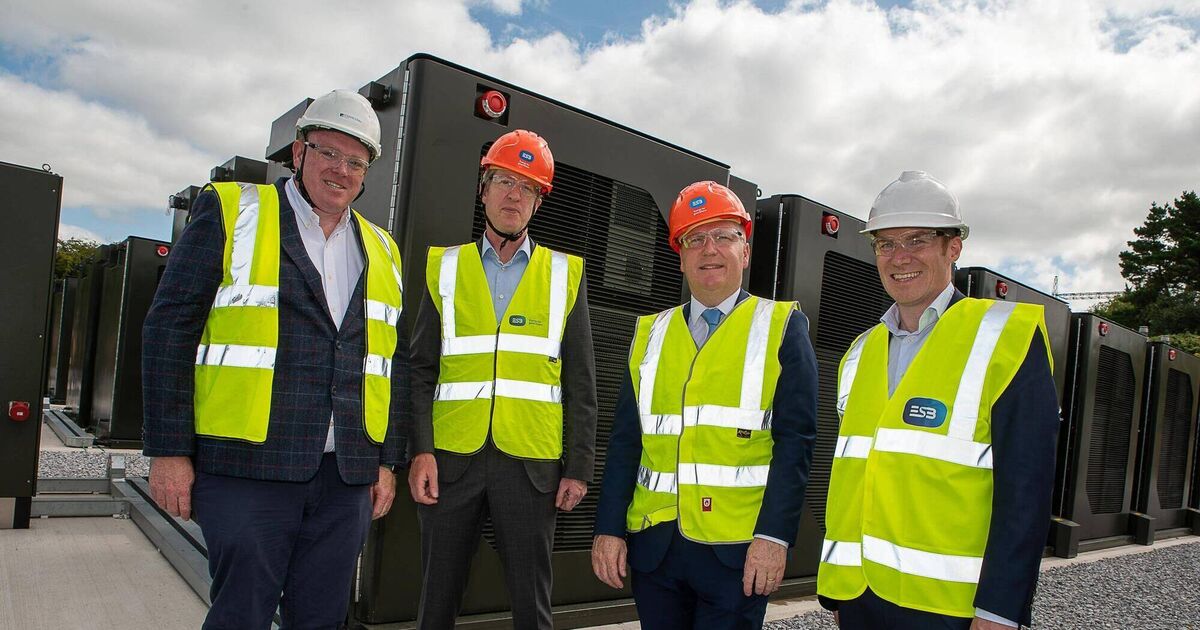 ESB opens new 19MW energy storage plant in Co Cork in partnership with ...