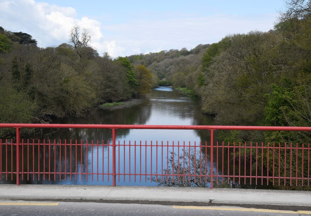 Bandon flood protection scheme firm convicted in relation to fish kill