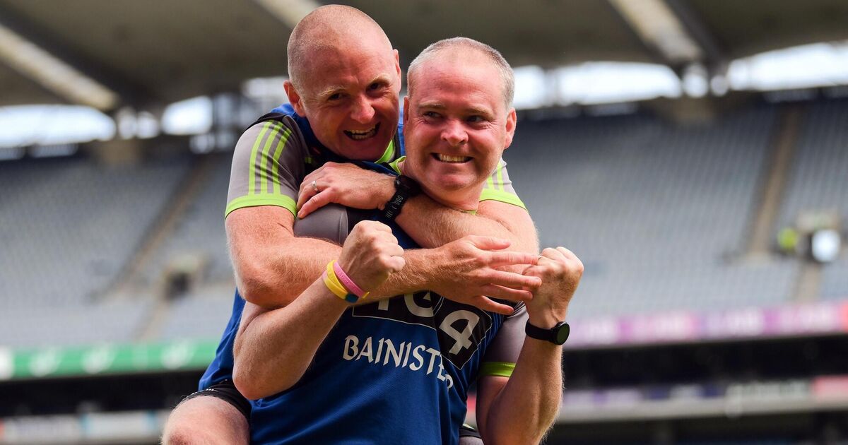 Declan Quill: Few expected us to be here or within an ass's roar of it