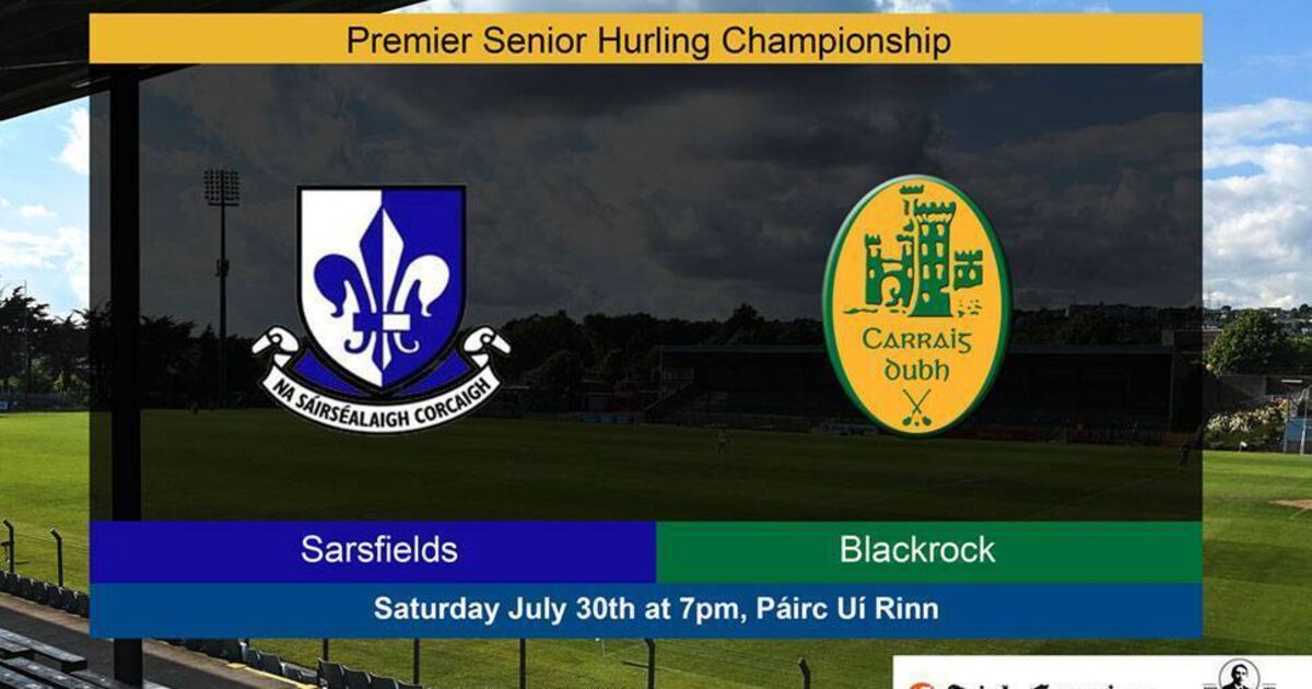 Cork Premier SHC action - Sarsfields v Blackrock