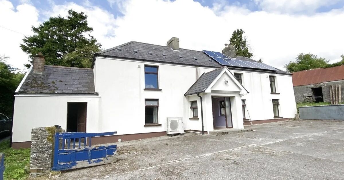 53-acre Laois farm for September auction, after 87-acre farm tops €1m