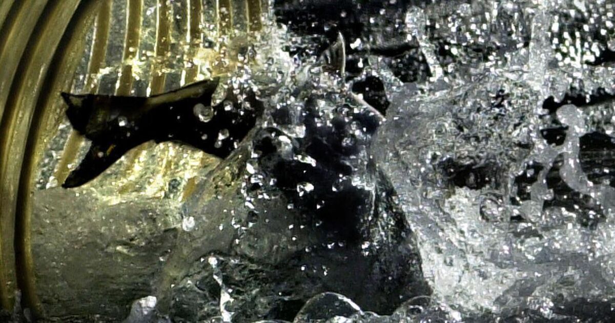 Irish Examiner view: Salmon row spawned years ago