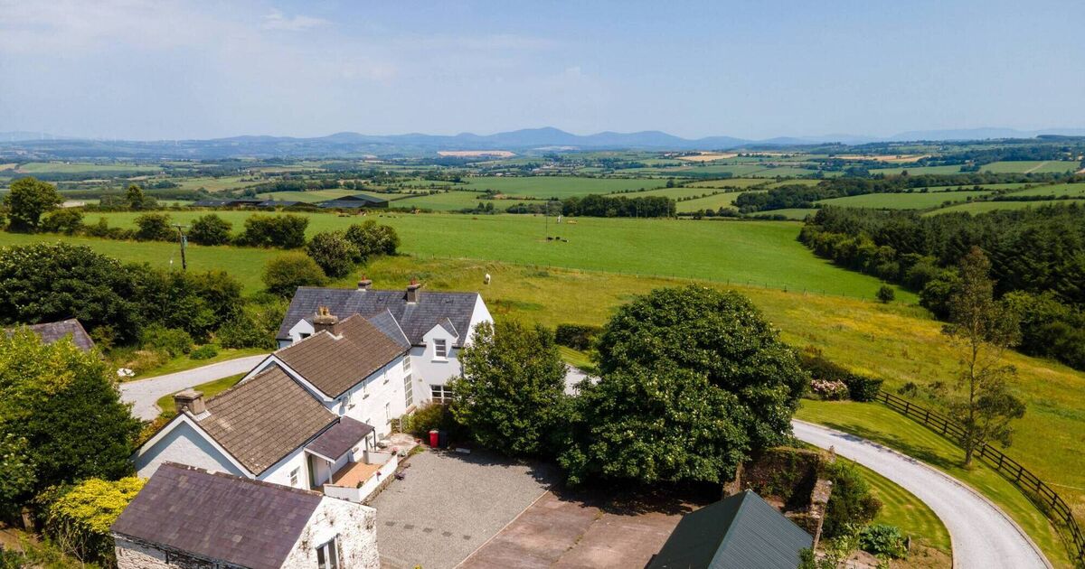 Chill: Take the backroads to Ballynoe's €695k homestead, horse and ...