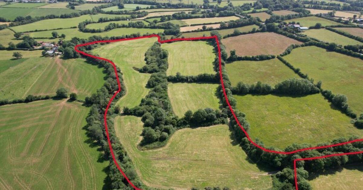 30-acre East Cork farm offers quality grassland