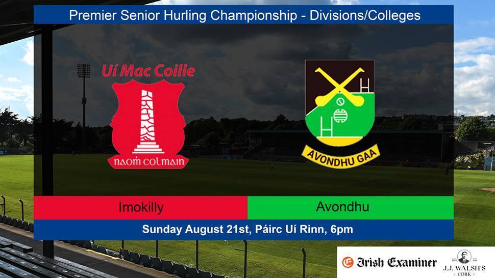 Cork Premier SHC Divisions/Colleges Final - Imokilly v Avondhu
