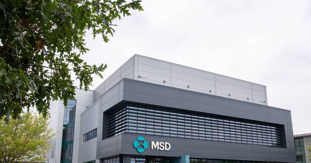 MSD to expand cancer drug manufacturing at Carlow site adding 100 jobs