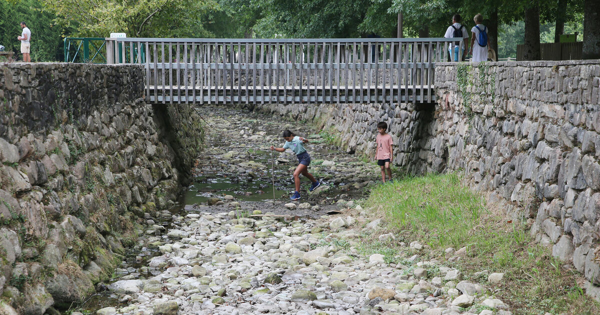 Drought-hit Europe could face three more dry months, EU report says