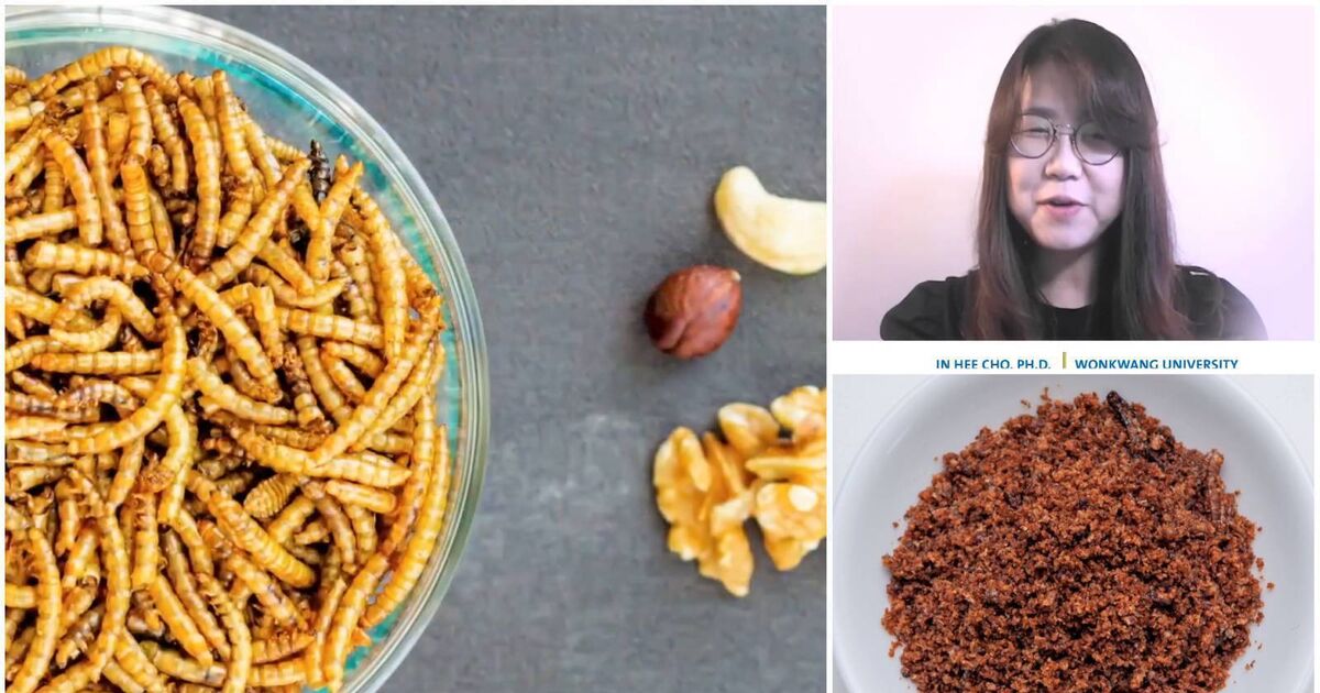 Insects could give a meaty taste to food — and help the environment