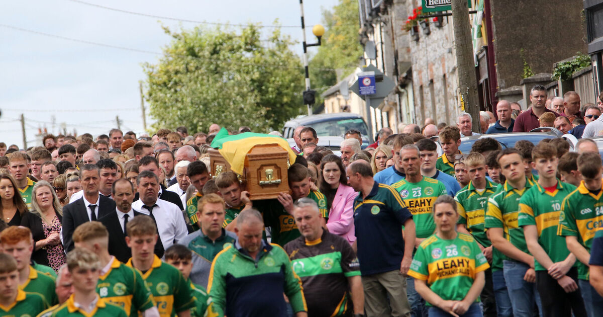 Limerick teen who died in road tragedy was a 'kind-hearted rogue ...