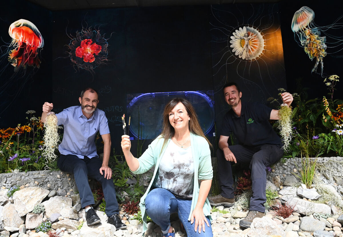 Watch: New Blarney Castle garden hoping to inspire love of jellyfish