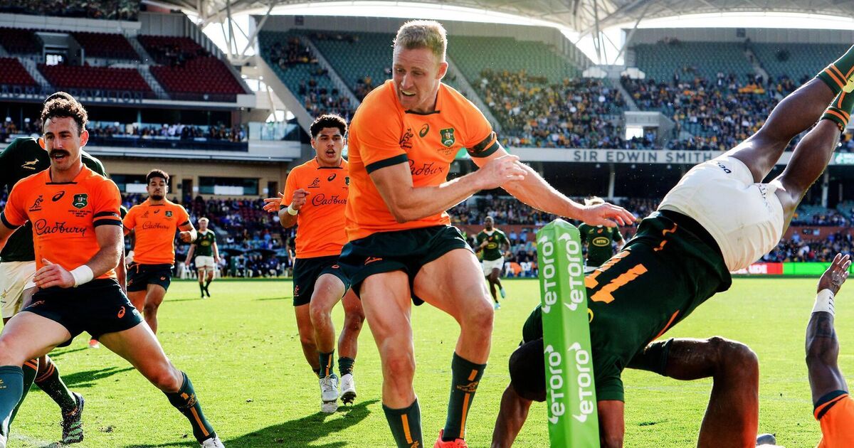 Resurgent Australia hammer world champions South Africa in Adelaide