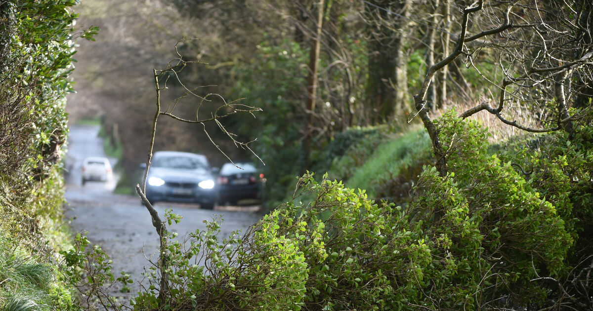 Daisy, Cillian and Wouter among Met Éireann's storm names for coming winter