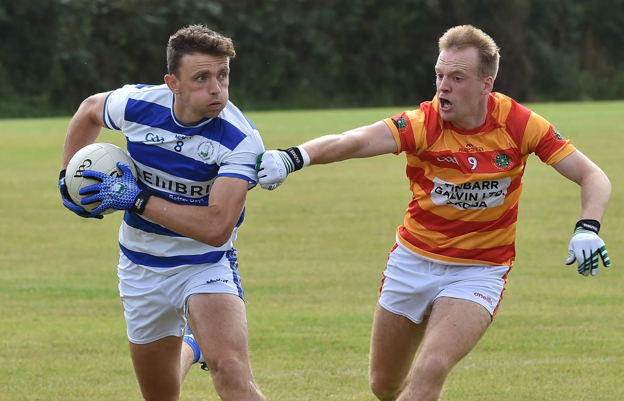 Efficient Castlehaven get the job done against Newcestown