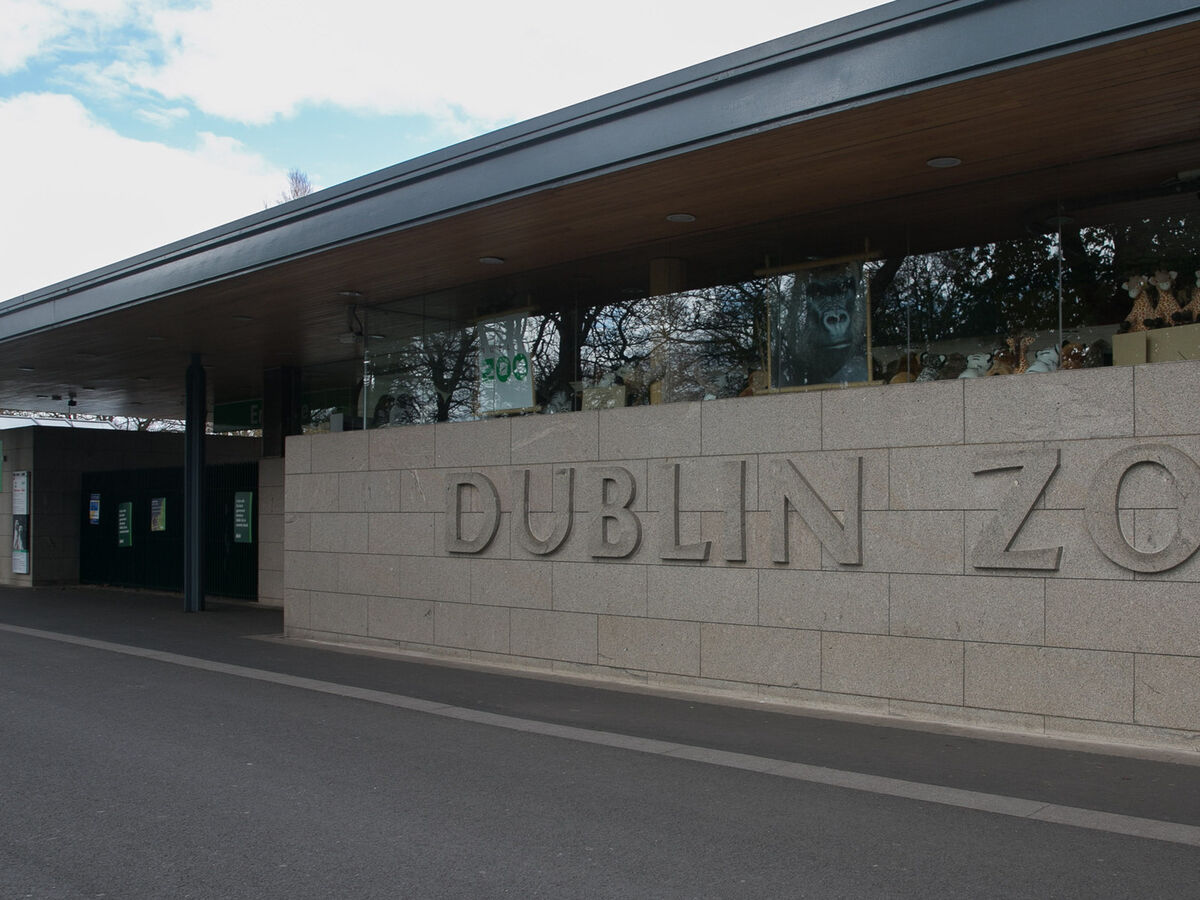 Dublin Zoo Logo