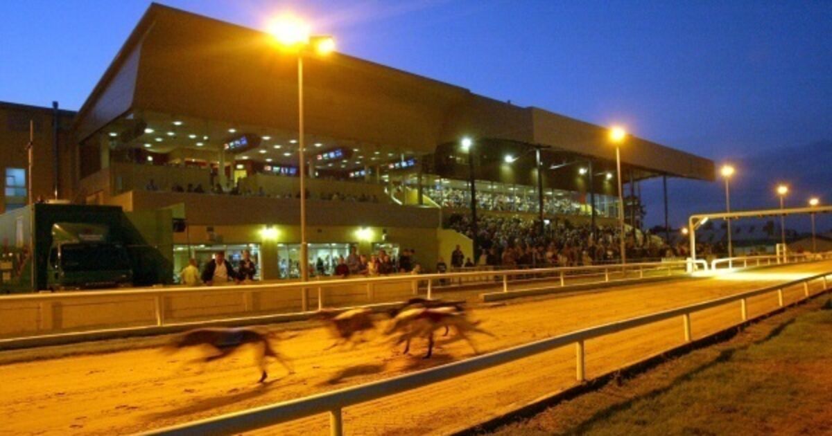 ‘Most unusual’ greyhound doping case sent to gardaí