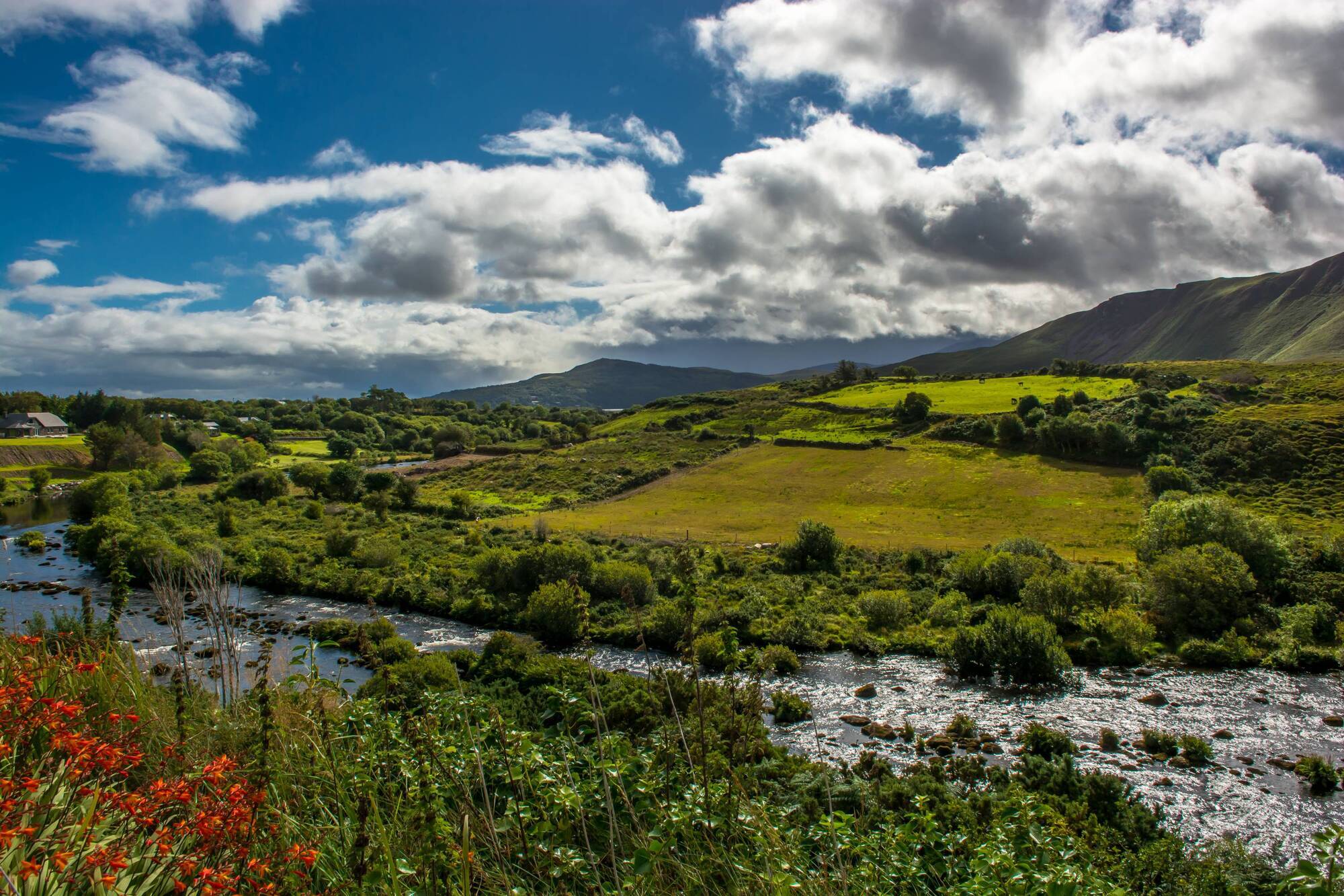 Agri-environment scheme will include financial support to protect ...