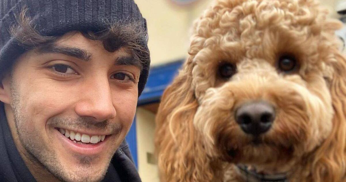 'I've never had so many people stop me': Jake Carter on his influencer ...