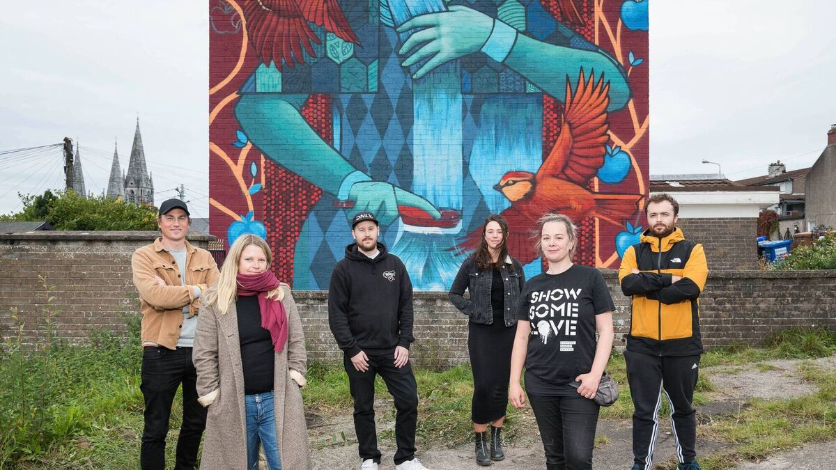 Ardú Street Art is back in Cork — here are the artists taking park