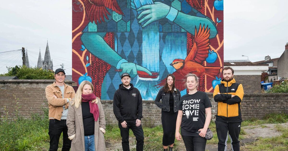 Ardú Street Art is back in Cork — here are the artists taking park