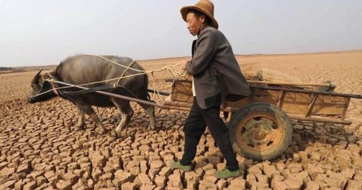 Planet's dwindling water resources poses an existential threat