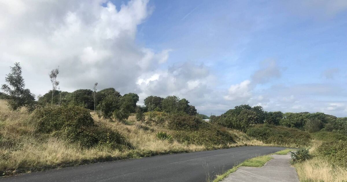 Planning approved for 31 social and affordable houses in Ardmore