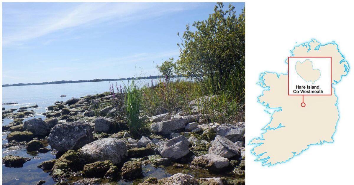 Islands of Ireland: Westmeath's Hare Island has had royal and Nobel ...