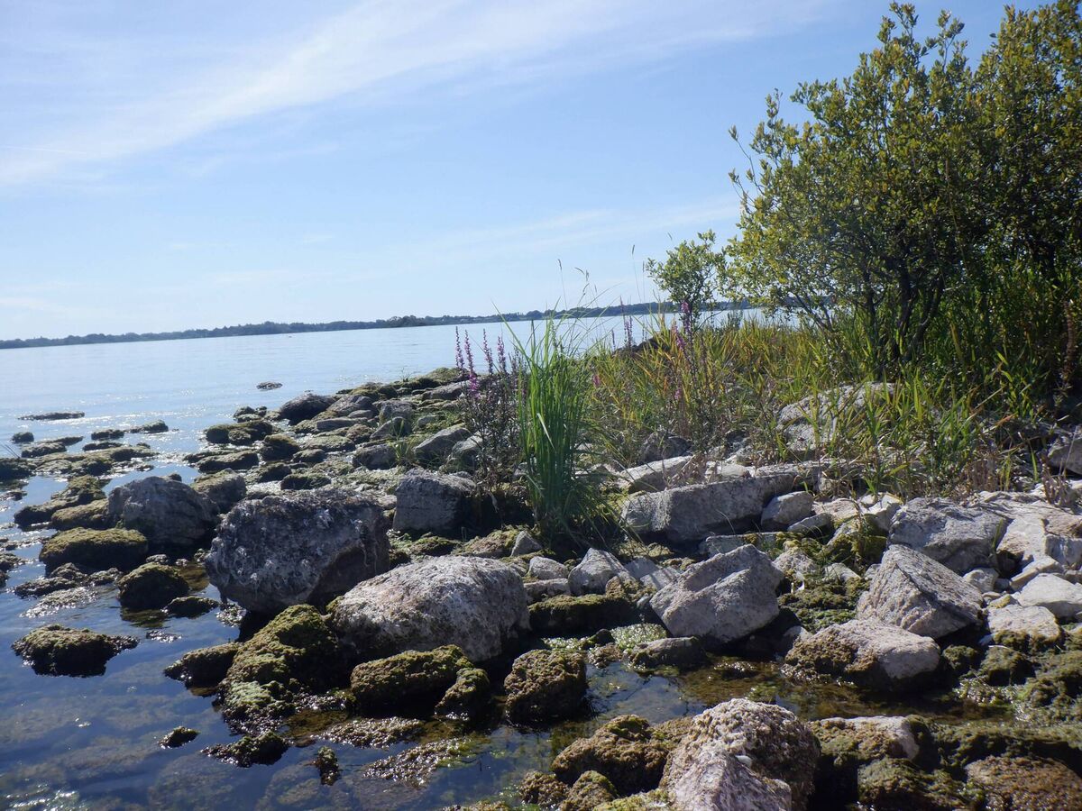 Islands of Ireland: Westmeath's Hare Island has had royal and Nobel ...