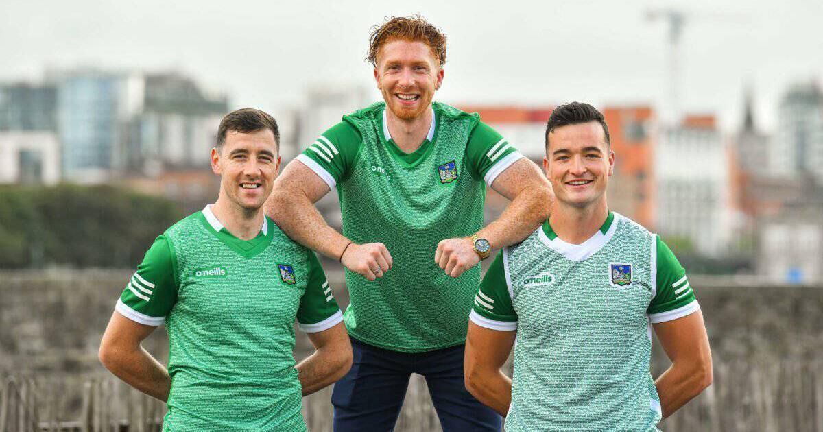 Limerick GAA under pressure to reduce cost of one-off training jersey ...