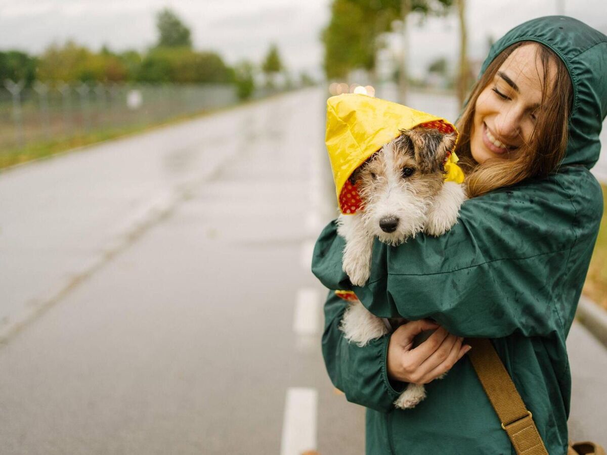 What Is The Purpose Of Having A Dog