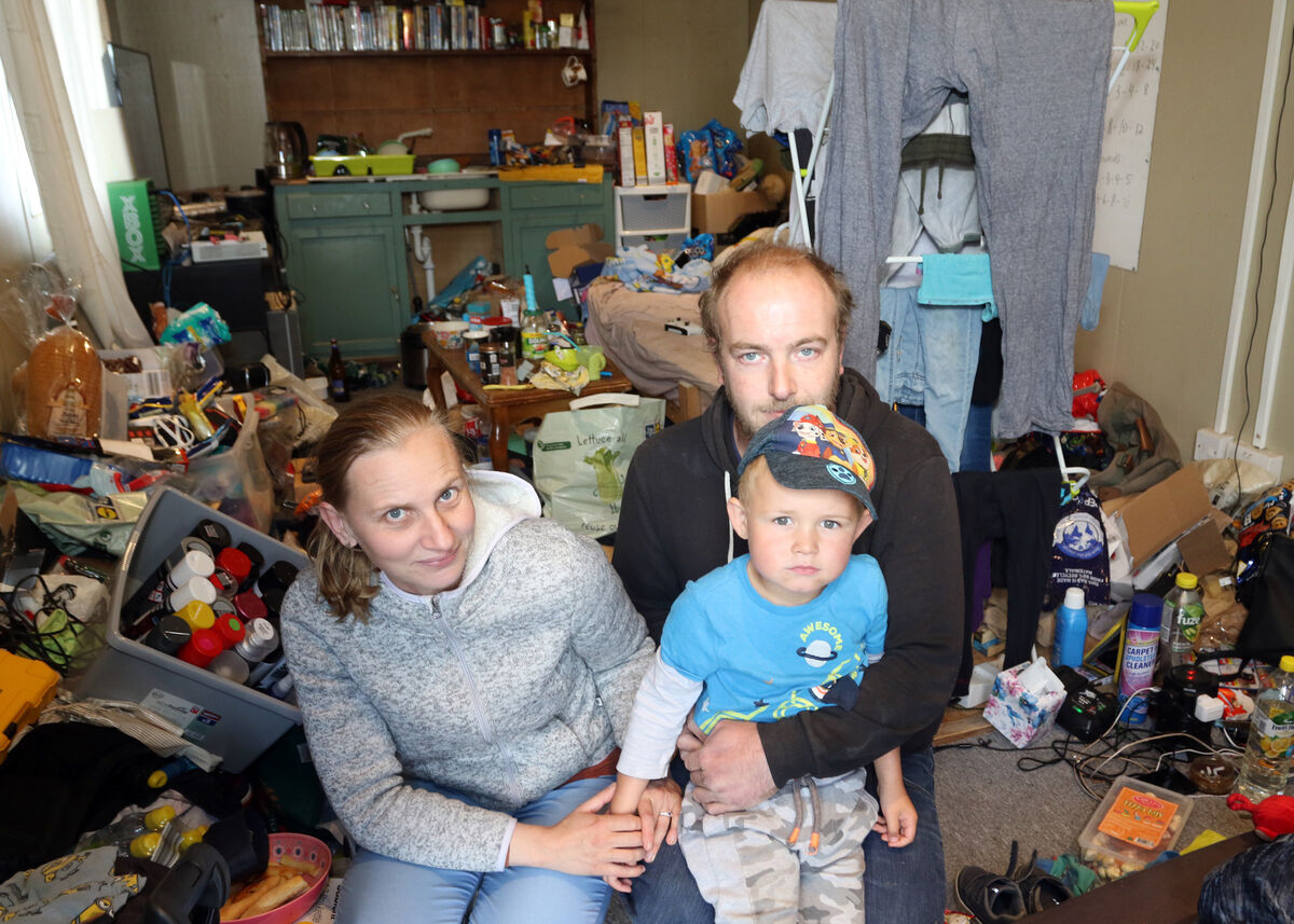 Kind-hearted Swedish vet steps in to help Irish families facing ...